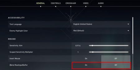 What is Raw Input Buffer in Valorant