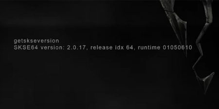 Is Skyrim Script Extender Not Running? Here's How To Fix It