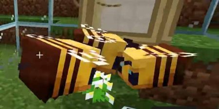How to Get Bees in Beehives in Minecraft?
