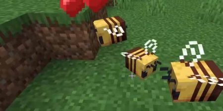 How to Get Bees in Beehives in Minecraft?