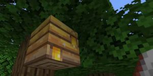 How to Get Bees in Beehives in Minecraft?