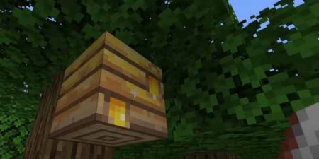 How to Get Bees in Beehives in Minecraft?