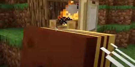 How to Get Bees in Beehives in Minecraft?