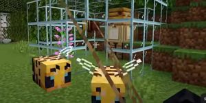 How to Get Bees in Beehives in Minecraft?