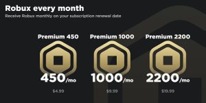 How Does Roblox Premium Work?