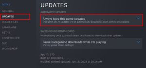 How to Disable Steam Auto Update?