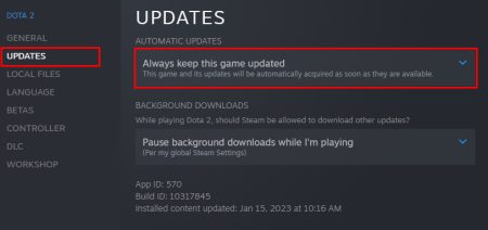 How to Disable Steam Auto Update?
