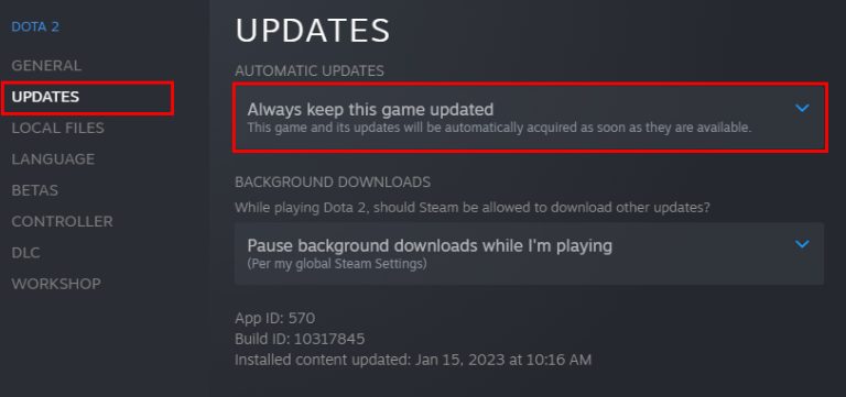 How to Disable Steam Auto Update?