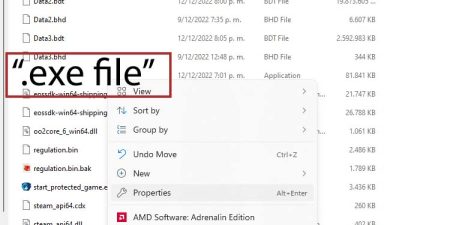 Why Is My Path of Exile Crashing? How to Fix It