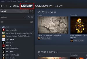 How to Disable Steam Auto Update?