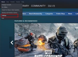 How to Disable Steam Auto Update?