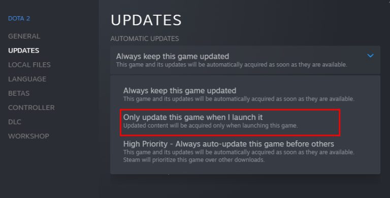 How to Disable Steam Auto Update?