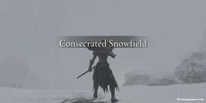 How to Get to The Consecrated Snowfield?