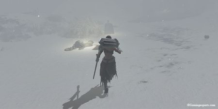 How to Get to The Consecrated Snowfield?