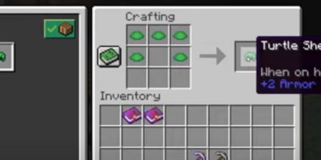 How to Get Turtle Shell in Minecraft?