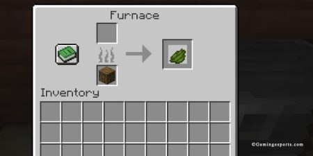 How to Make Green Dye in Minecraft? Step-by Step Guide