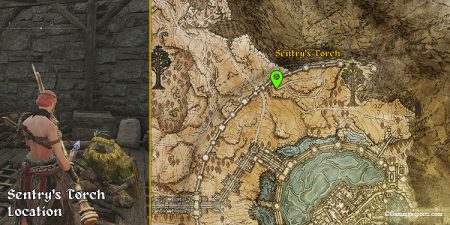 How to Use Torch in Elden Ring? (With Locations)
