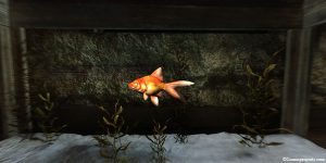 Where to Catch Goldfish in Skyrim?