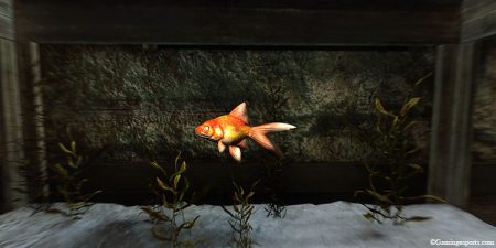 Where to Catch Goldfish in Skyrim?