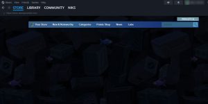 13 Ways to Fix Steam Store Not Loading