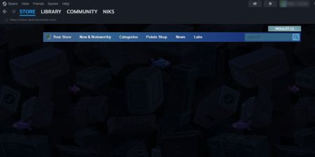 13 Ways to Fix Steam Store Not Loading