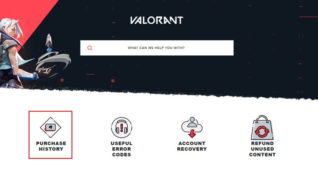 How Much Have I Spent on Valorant