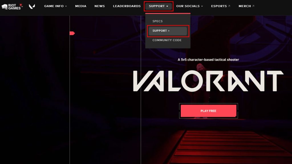 How Much Have I Spent on Valorant